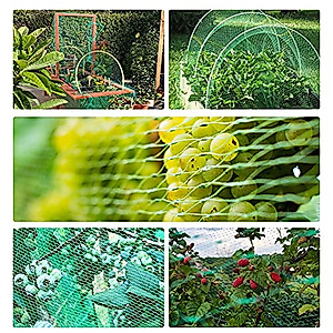 KINGLAKE 33 Ft x 13 Ft Green Garden Bird Netting,Green Garden Plant Netting,Garden Plant Fruits Fencing Mesh