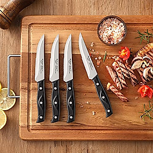 Mituer Steak Knives Steak Knife Set - Premium Stainless Steel Steak Knives set of 4