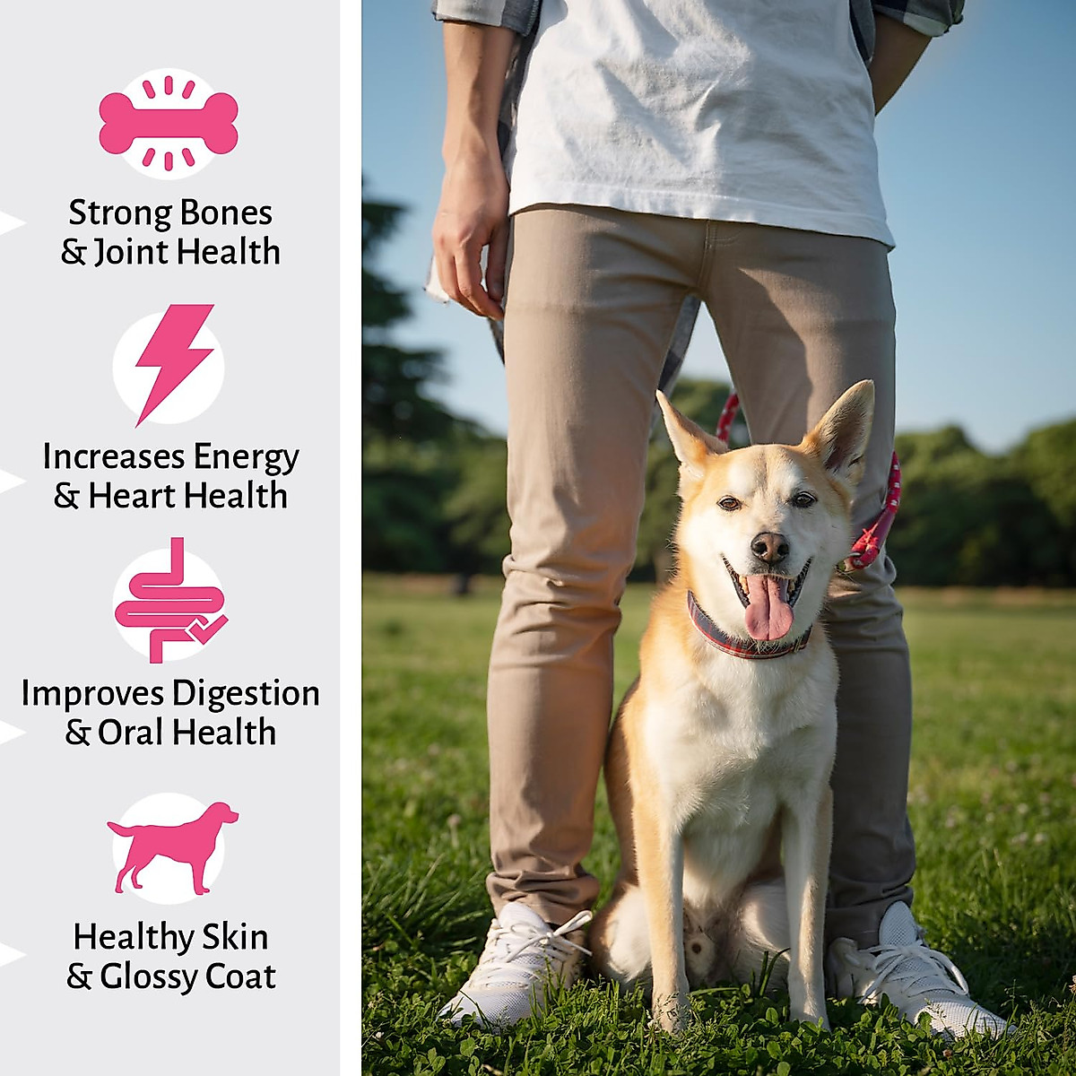 Healthy Bite 12 in 1 Multivitamin for Dogs - Dog Skin and Coat Supplement, Immune Support for Dogs, Pet Vitamins Dogs, Calcium for Dogs, Vitamin for Dogs Made in USA - 120 Count