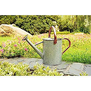 Metal Watering Can, One Gallon Watering Cans Stainless Steel Handle for Outdoor Indoor Garden Plants Watering (1 Gallon Silvers)