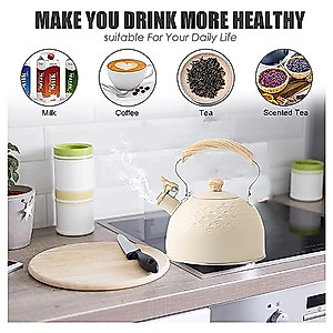 2.5L Stainless Steel Tea Kettle Teapot with Foldable Anti-Heat Handle,for Gas Hobs, Induction and Electric Hobs▂19 * 23cm/7.48"*9.06"