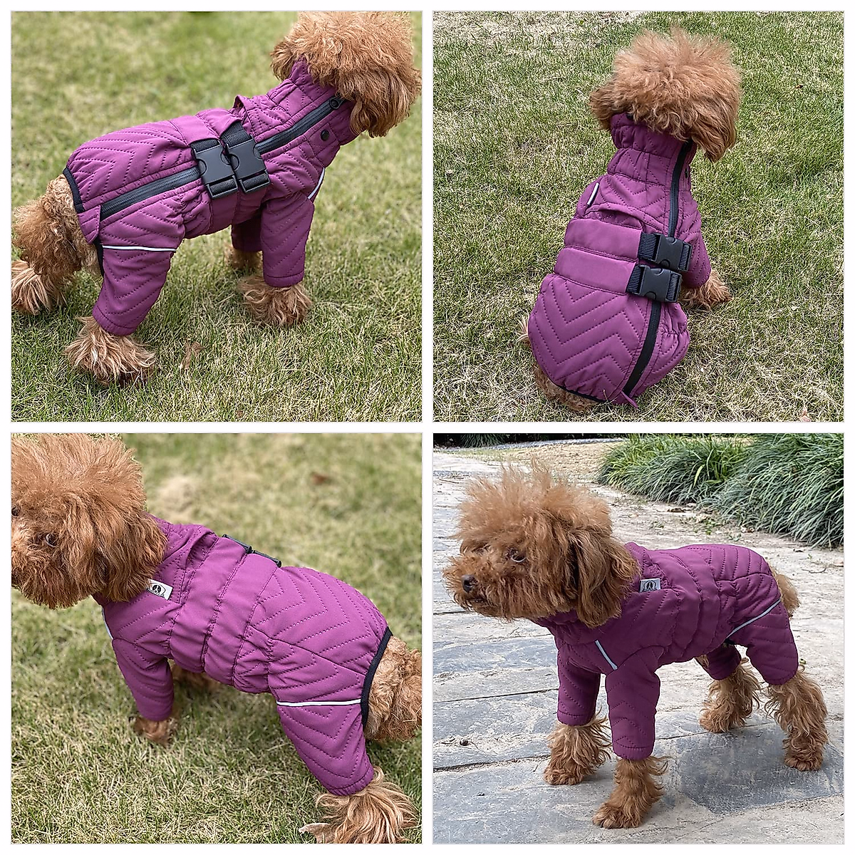 Warm Dog Coat Double Layers Dog Vest, 4 Legs Covered Windproof Waterproof Reflective Warm Dog Vest Outdoor Skating Dog Costume for Small Medium Large Dogs Purple XXL