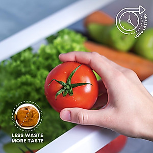 Grand Fusion Fresh Fruits Refrigerator Drawer Liner, Fridge Liners, Keep Your Produce Fresh and Juicy, Easy-to-Clean, Green, Pack of 4