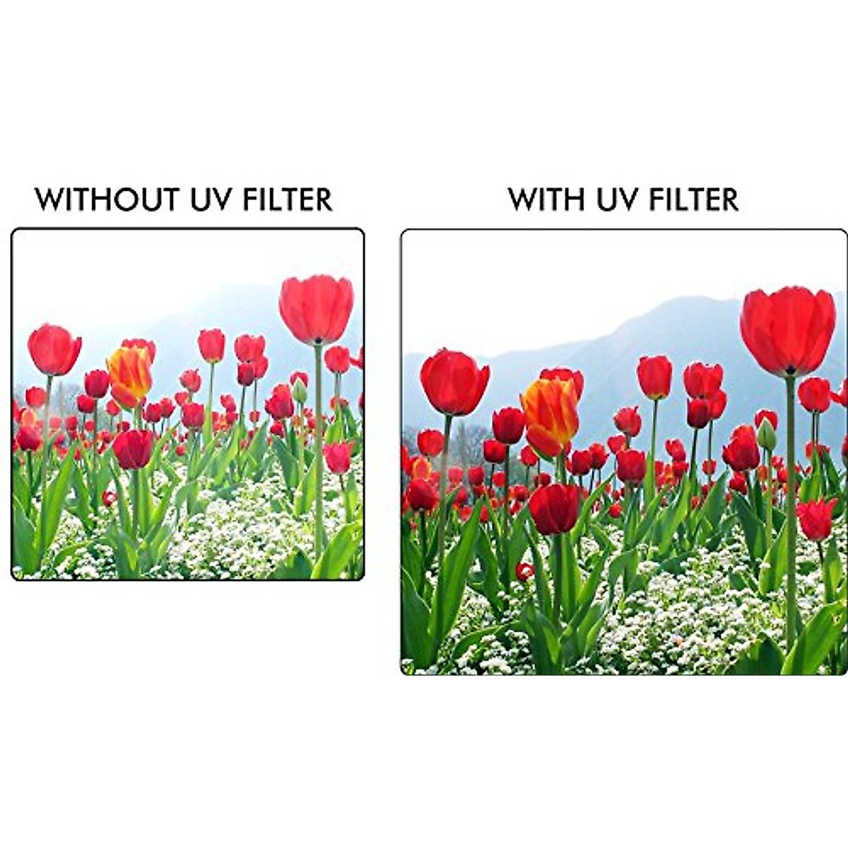 Bower 72mm Digital HD UV Lens Filter for Canon EF-S 15-85mm f/3.5-5.6 is USM, EF 28-135mm f/3.5-5.6 is, EF-S 18-200mm f/3.5-5.6 is, Tamron 17-50mm f/2.8, Tamron 18-270mm f/3.5-6.3