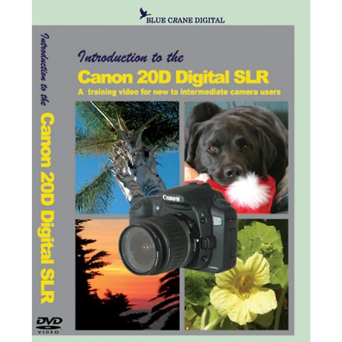 Introduction to Canon 20D Digital SLR
