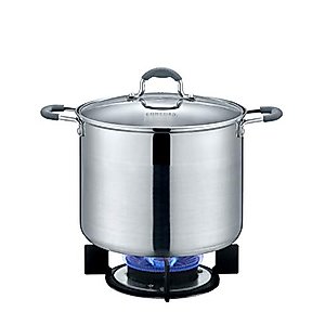 CONCORD Stainless Steel Stock Pot with Glass Lid (Induction Compatible) ((10 QT)