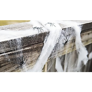 Happy Hippo Halloween Spider Web Decoration, 200 Sqare Feet & Plastic Spiders, Halloween Party Supplies, Spider Webs (Small, 200 Sq Feet)