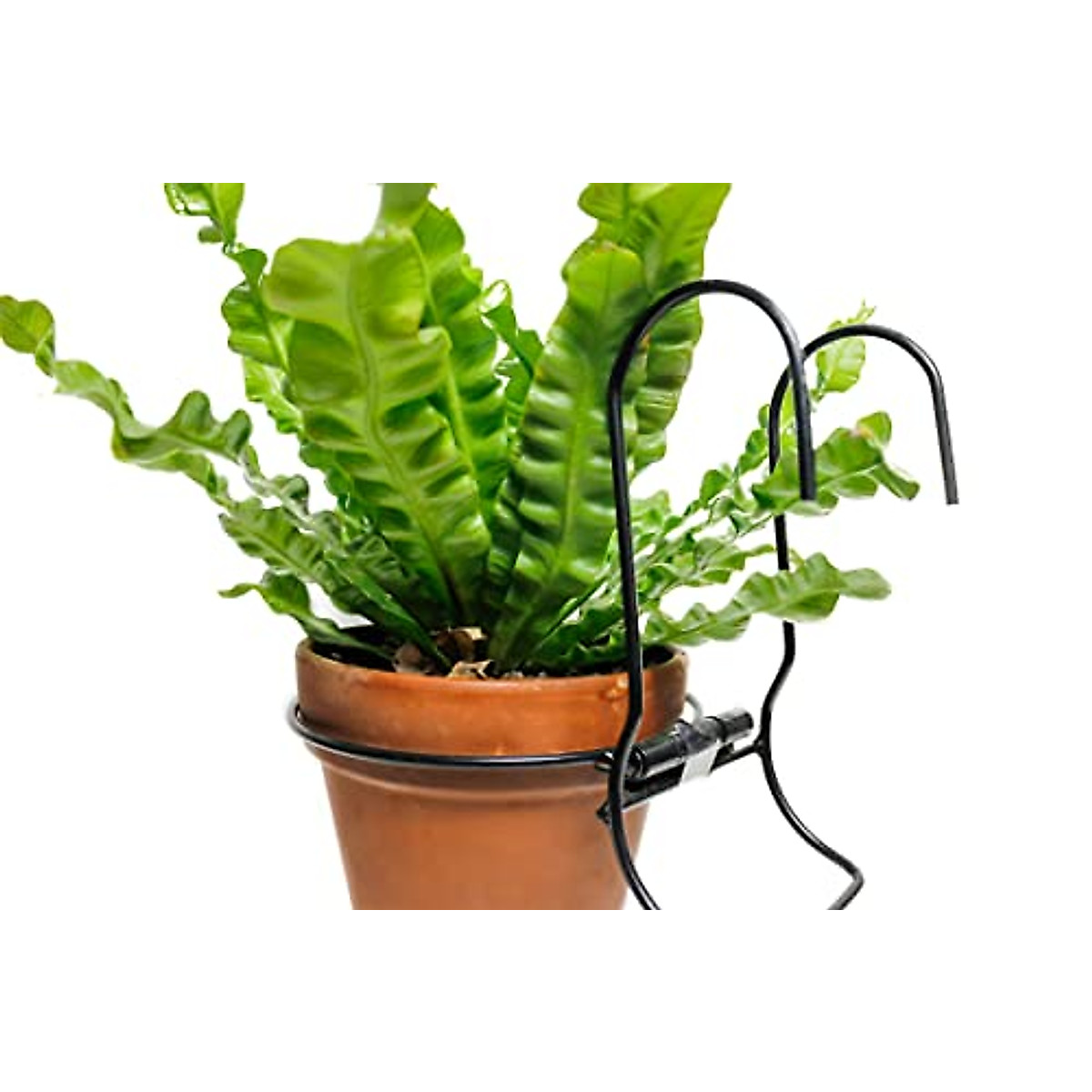 6 Pieces, 6 inches Iron hanging Flower Pot. Metal Plant Wall Hanger, Vertical Garden. Planter Hook Ring, Rail Metal Fence. Indoor and Outdoor. Yard Garden. Wire Trellis. Collapsible Bracket.