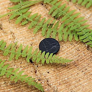 Karelian Heritage Non-Polished Round Shungite Sticker 20 mm (0,8 inches) | Shungite Protection Plate | Total Shield Shungite Sticker with Carbon Fullerenes | Authentic Shungite for Cell Phone FRE11