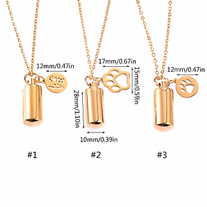 YOOYEH Memorial Dog Urns Necklace Pet Cremation Urn Pendant Cat Urn Necklace with Hollowout Paw Pet Memory Keepsakes Urn Holder Stainless Steel Pet Urn Necklace Cremation Jewelry for Pets