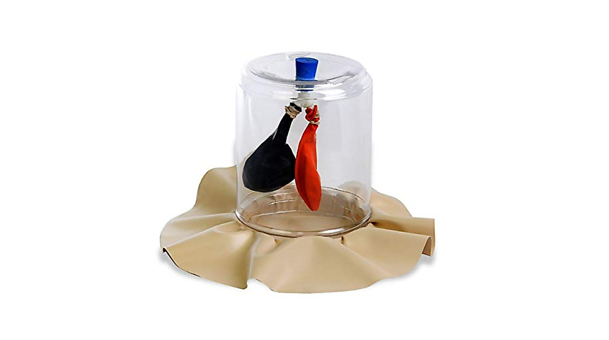 American Educational Lung Kit - Learn Respiratory Physiology