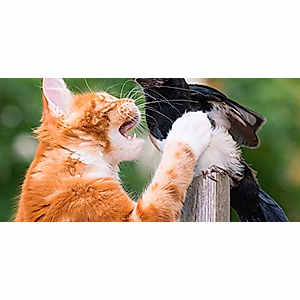 CatBib - Saves Birds, Protects Cats (Small, Turquoise)