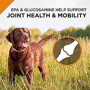 Purina Pro Plan With Probiotics Large Breed Dry Dog Food, Shredded Blend Chicken & Rice Formula - 18 lb. Bag