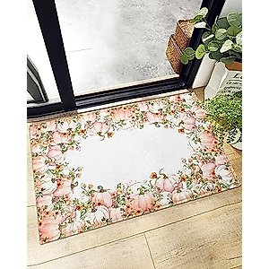 Floor Door Mats Shaggy Carpet Thanksgiving Fall Pumpkin Seamless White,Non Slip Soft Bath Rug Autumn Farm Plant,Fuzzy Area Cushion for Kitchen/Bedroom/Bathroom/Living Room Decor 24x35In