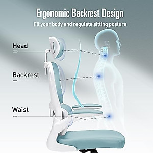 SOMEET Office Chair, Ergonomic Mesh Office Chair with Adjustable Headrest and Arms, High Back Ergonomic Desk Chair with Lumbar Support, Comfortable Home Office Desk Chairs with Tilt Lock (Blue)