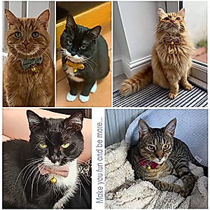 Cognatio Safety Quick Release Cat Collars, Soft Kitten Collars with Detachable Bow Tie and Bell, Pack of 2, Adjustable 20-30 cm