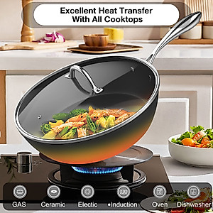 Faseem Frying Pans Nonstick with lid, Deep nonstick fry pan, Healthy non stick skillets for Cooking, Induction Compatible Non-Toxic PFOA & PFOS free (Black, 11 inch)