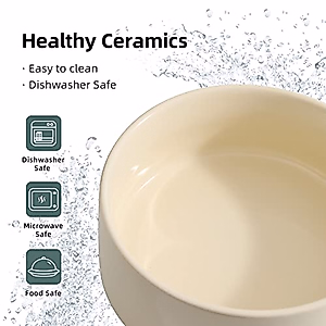 Havniva Ceramic Elevated Cat Food and Water Bowl , Kitty Bowl , Raised Cat Dish , Cat Feeder (2 x Cream White + Stand)