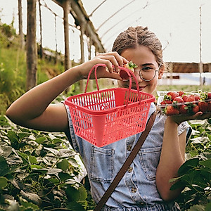 Cabilock 20pcs Small Fruit Basket Strawberry Cherry Basket Plastic Handle Basket Container Red Mini Shopping Basket Kids Adult Fruit Picking Basket 23. 5x17x11cm Random Patterns