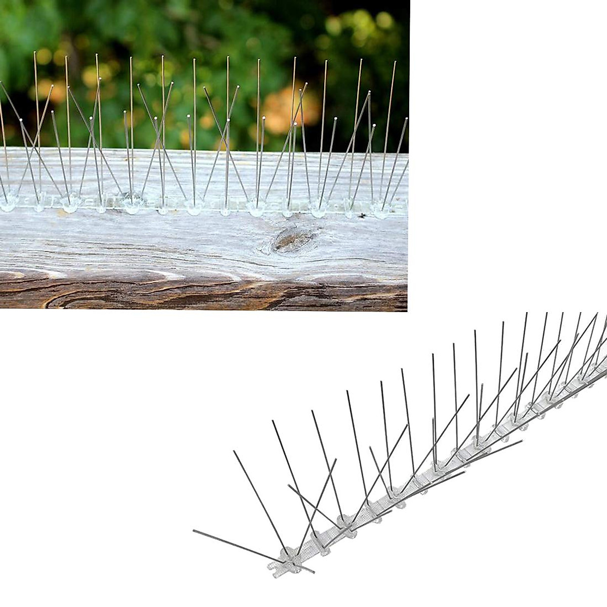 Flexible Stainless Bird Spikes with Plastic Base, Pigeon Fence (5 Feet Coverage 3 Strips)