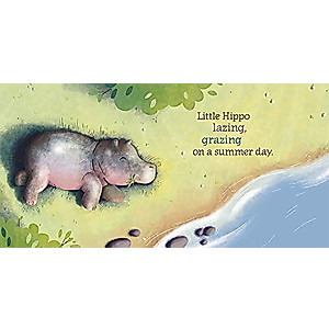 Little Hippo (Little Animal Friends)