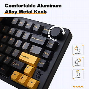GK GAMAKAY TK75PRO Aluminum Alloy Mechanical Keyboard, Gasket Mounted, Hot Swappable KTT Hyacinth Switch 2.4GHz Wireless BT5.0/USB-C 75% 81 Keys Custom RGB Gaming Keyboard for Win/Mac (Blue)