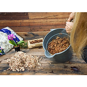 SuperMoss (22325) Orchid Sphagnum Moss Dried, Natural, 1 Pound Mini Bale