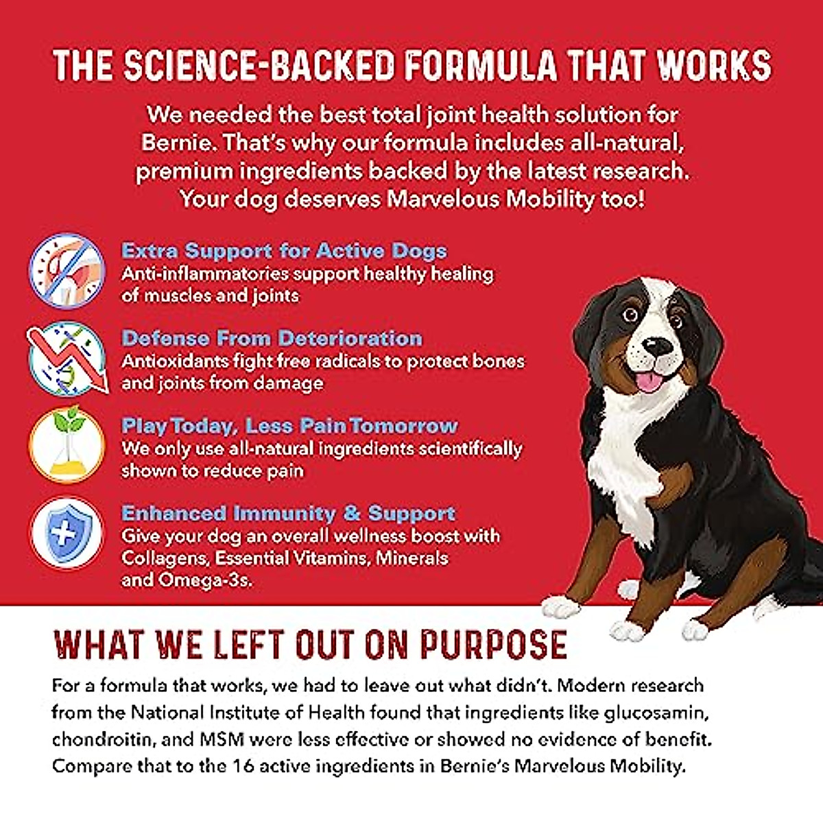 Bernie's Marvelous Mobility - Daily Dog Hip and Joint Supplement - Maintains Overall Well Being & Promotes a Healthy Immune System (90 Count)