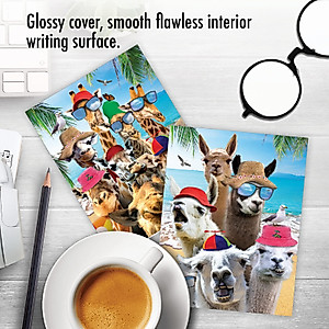 The Best Card Company - 20 Assorted Blank Note Cards Boxed Set 4 x 5.12 Inch with Envelopes (10 Designs, 2 Each) Wildlife Photo Ops AM10209OCB-B2x10