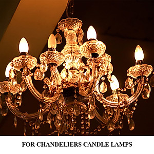 Himalayan Glow ‎Incandescent Light 40-Watt Himalayan Salt lamp Bulb, 6 Count