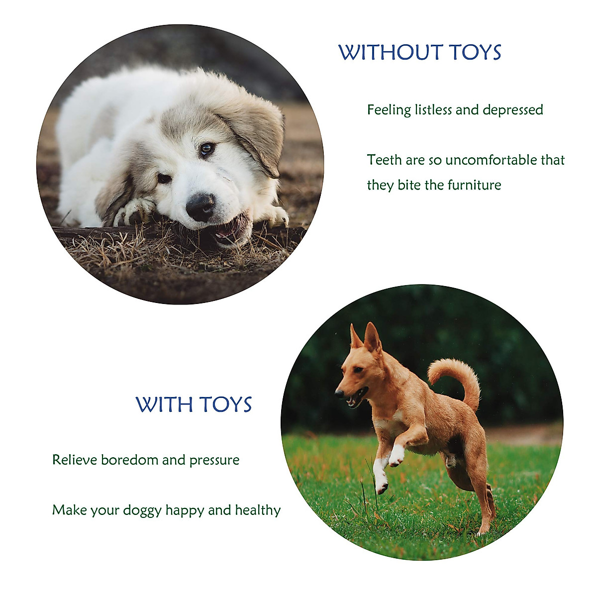 GOGOPETS Dog Chew Toys Rope - Colorful Rope Puppy Chew Toys Washable Cotton Rope Toys Set for Small Dog Puppy Pet（4 Packs/Set）