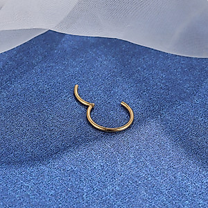 2 Pcs a Set G23 Titanium Steel Piercing-Ring Hinged Nose Rings Hoop Septum Clicker Ring Cartilage Tragus Piercing Diameter 6mm 8mm 10mm 12mm (Gold,G23 Titanium, 12mm)