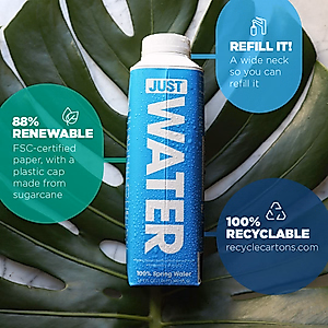 JUST Water - 100% Spring Water, Naturally Alkaline, 8.0 pH - Plant-Based, BPA Free, Sustainable and Fully Recyclable Boxed Water Bottle - Eco-Friendly - 11.2 Fl Oz (Pack of 24)