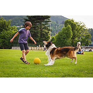 K9 Collagen Hip & Joint Supplement for Dogs - Fish Collagen Powder for Canines, Supports Healthy Joints, Improved Mobility, Pain Relief, Pet Wellness, Puppy Care, 1 Month Supply