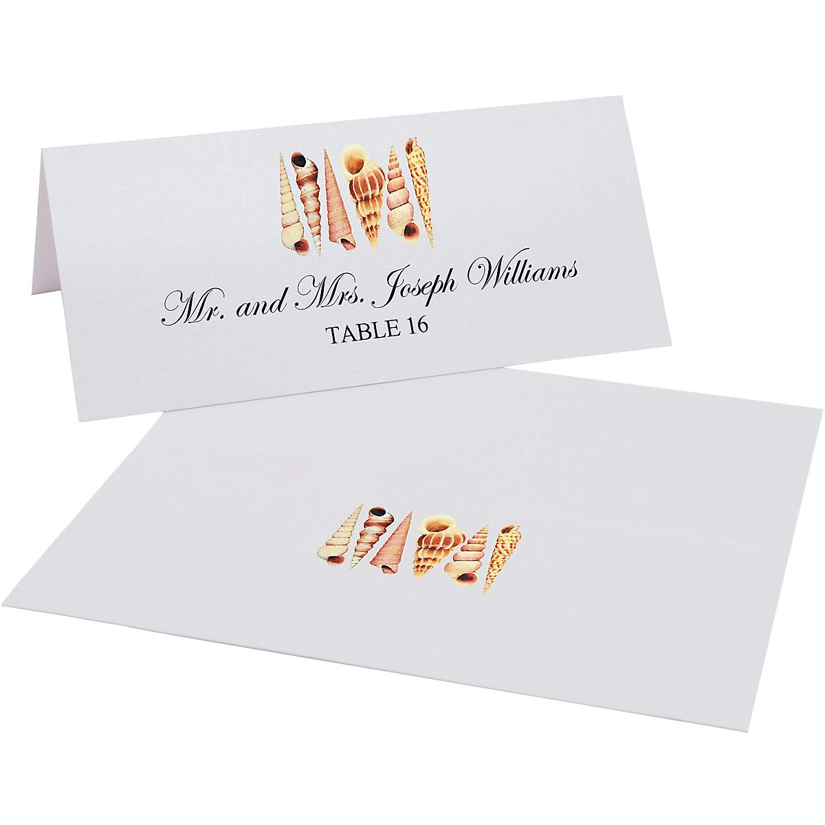 Seashell Pattern Place Cards, Set of 25, Pre-cut and Scored - Wedding, Party, Dinner, and Special Events - Made in the USA