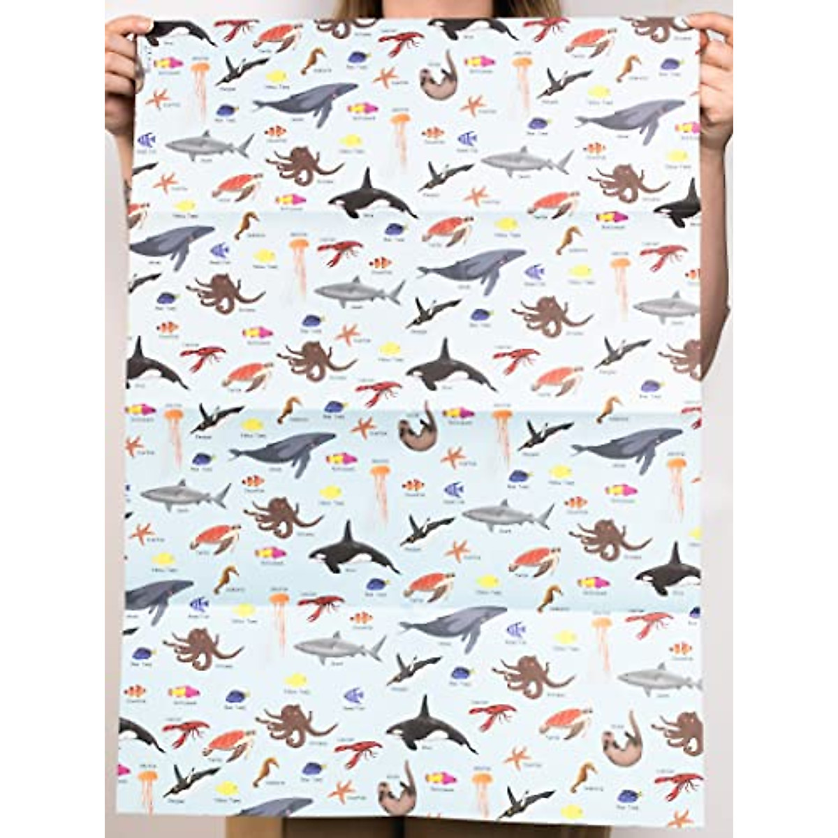 CENTRAL 23 - Wrapping Paper for Boys - 6 Sheets of Gift Wrap for Girls - Ocean Animals - Whale Dolphin Turtle Shark - Cute Blue Birthday Gift Wrap for Kids - Made in the UK