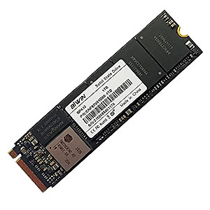 LANRUO BIWIN 1TB M.2 NVMe 2280 SSD Internal SSD - Gen3 x4 PCIe 8Gb/s,Up to 2,400 MB/s (1TB Storage)