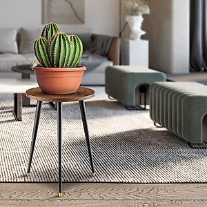 KINNARY Indoor Plant Stand, Mid Century Wood Plant Stand Plant Table for Flower Pots, Heavy Duty Metal Tall Plant Holder, Modern Home Decor Small Round Side End Table (11.8"x16")