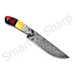 Smart & Sharp Custom Handmade Damascus Steel Hunting Knife/Skinning Knife AA-17287 (Natural Bone and Multi Color Wood)