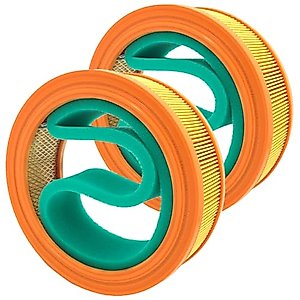 Gewxgzo 394018 Air Filter for B&S 392642 394018S 5050H 5050B 4135 421400 402400 JD LG394018JD GT235 GT235E LTR155 LTR166 LT166 LT170 LX288 SST16 SST18 Lawn Mower(2 Pack)