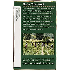 Traditional Medicinals Organic Turmeric with Meadowsweet & Ginger Herbal Tea, Supports Healthy Response to Inflammation, (Pack of 4) - 64 Tea Bags Total