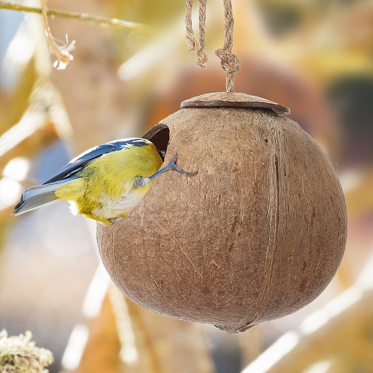 Skylety 3 Pcs Coconut Bird Nest Hut Hanging Bird House Coconut Hide with 6.9 Feet Fake Vines Coconut Fiber Shell Small Bird Cage Accessories for Parrot Parakeet Canary Reptile Crested Gecko Hamster