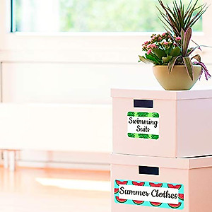 Lovable Labels Jumbo Write-on Storage Bin Label Stickers, 6 Blank Labels for Storage Bins Makes Organization and Storage Bins Labeling Quick and Easy. (Vibes, Jumbo)