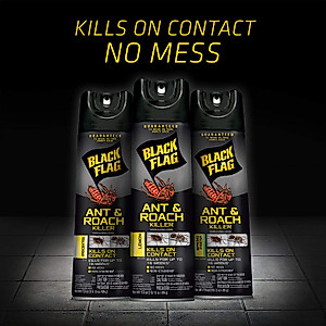 Black Flag Ant & Roach Killer Aerosol, Spring Fresh Scent, 17.5-Ounce, 12-Pack