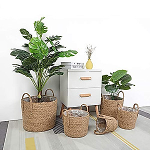 Cabilock Seagrass Plant Basket Hand Woven Belly Basket Bin Straw Beach Bag Panier with Handles for Laundry Picnic Plant Pot Cover Flower Home Toys Decor 25CM Khaki