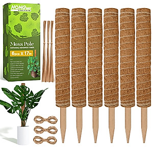 HongWay 77 Inch Moss Pole for Plant Monstera, 6 Pack 17 Inch Moss Plant Support, Monstera Support, Plant Climbing Pole, Moss Plant Stake