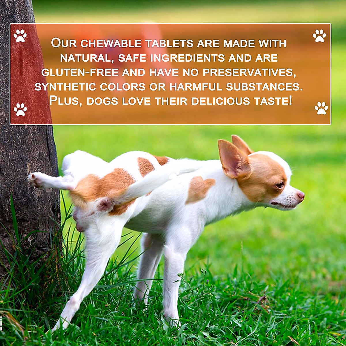 Cranberry for Dogs - 180 Cranberry Supplement Tablest for Dogs Supports Bladder Infection, Dog Incontinence Support, Bladder Stone and Dog UTI, Pet Supplement Treats Tablets for All Breeds Dogs & Ages