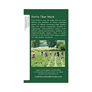 Traditional Medicinals Organic Spearmint Herbal Tea, Supports Healthy Digestion, (Pack of 2) - 32 Tea Bags Total