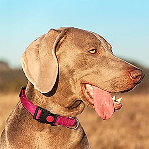 Personalized Dog Collar - Reflective Custom Embroidered with Pet Name and Phone Number for Boy and Girl Dogs, 4 Adjustable Sizes, XSmall,Small, Medium and Large