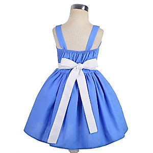 Dressy Daisy Princess Dress with Apron Summer Outfit Casual Wear for Toddler Girls Size 3T